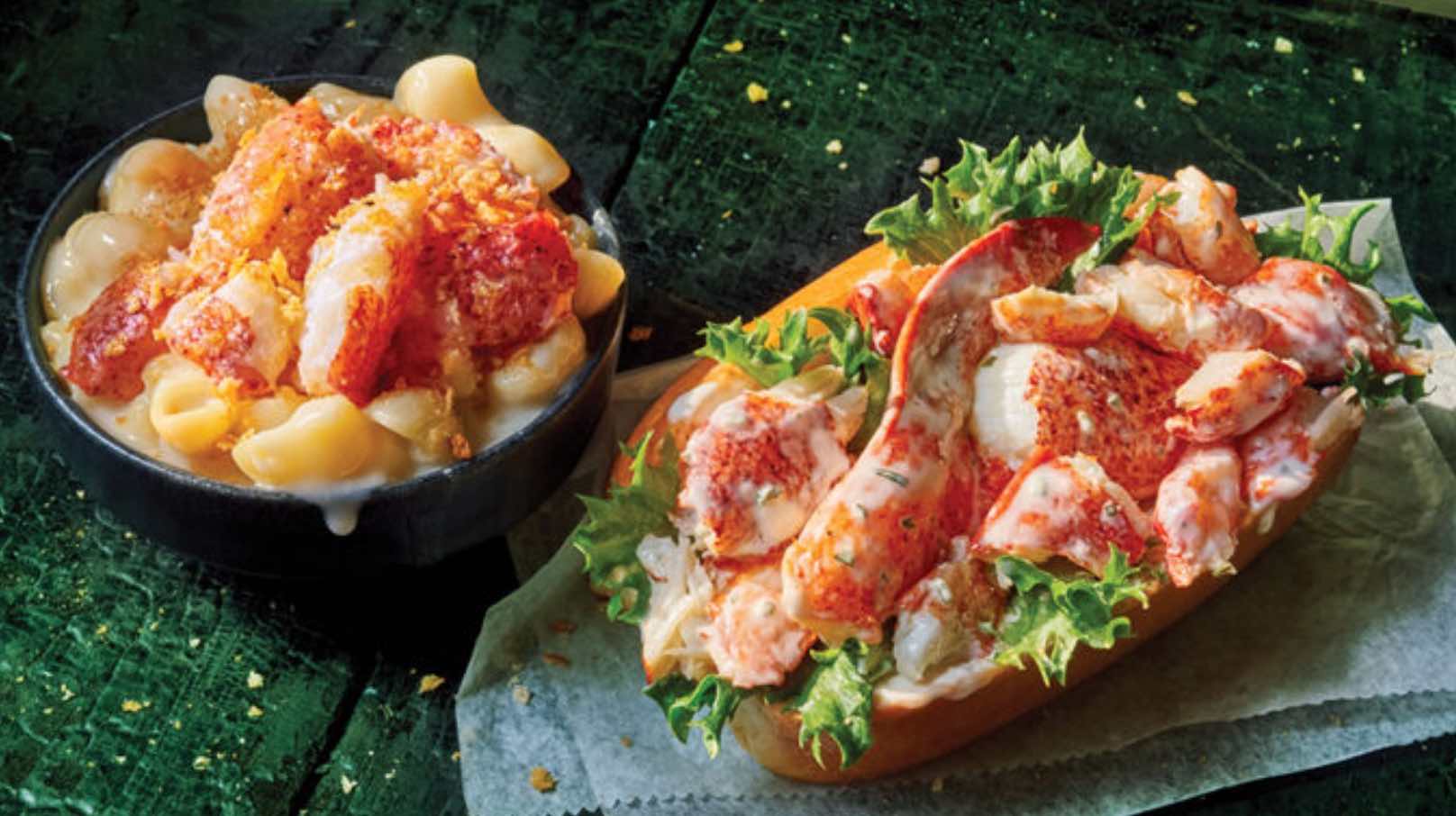 Panera Brings Back Its Lobster Roll and Lobster Mac & Cheese – The Guy ...